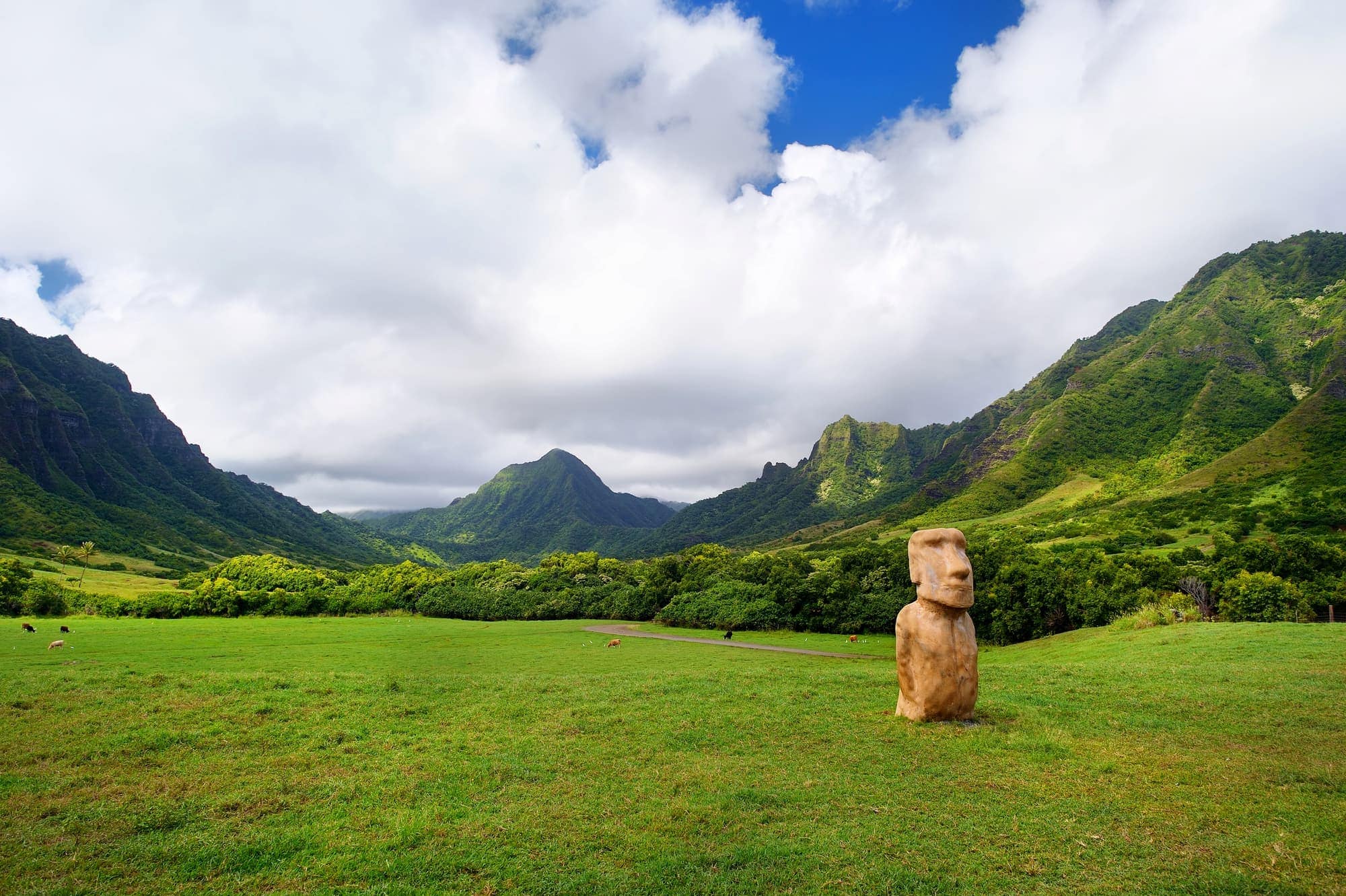 Kualoa Ranch Tours - Ohana Hawaii Tours